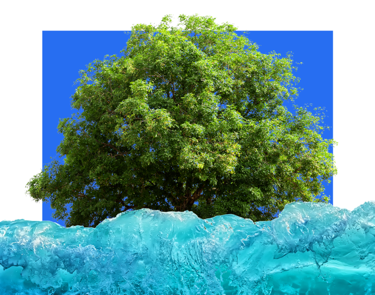 Rising Tides, But Missing the Boat